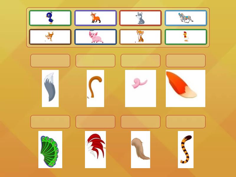 Kieno uodega? - Match up