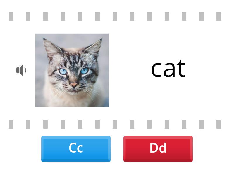 Letters C, D_Timur Martynov - True or false