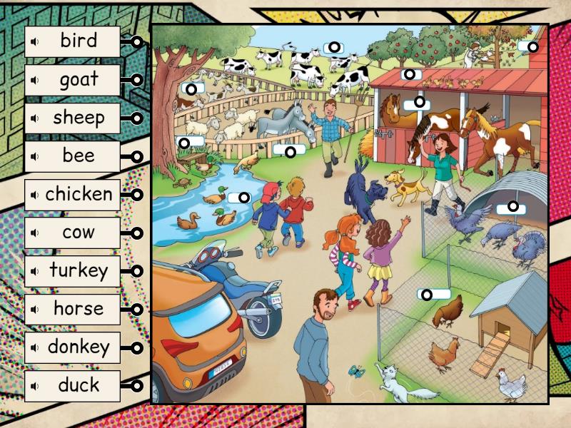 Farm animals - Labelled diagram