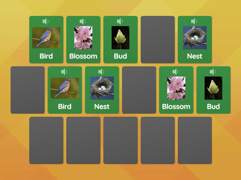 Match the spring pairs - Matching pairs