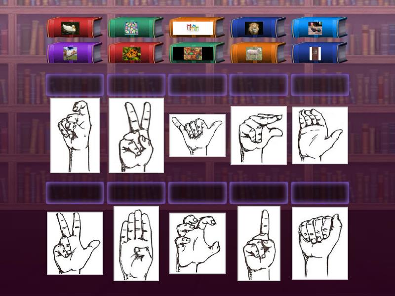 Handshape Matching Game - Match up