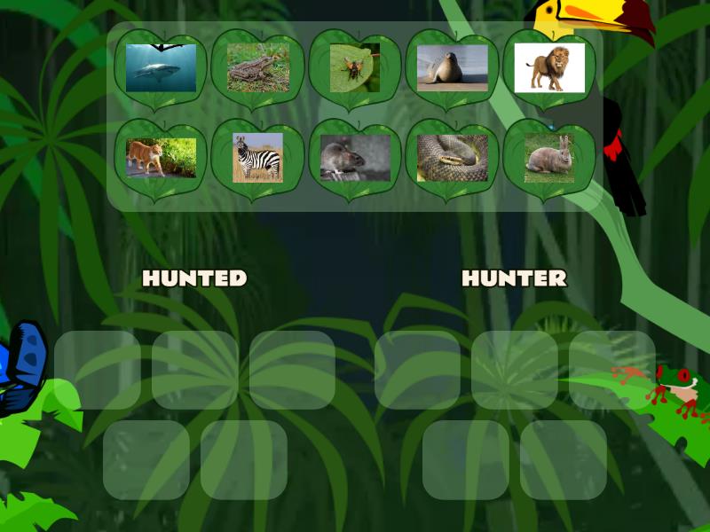 Prey and Predator - Group sort