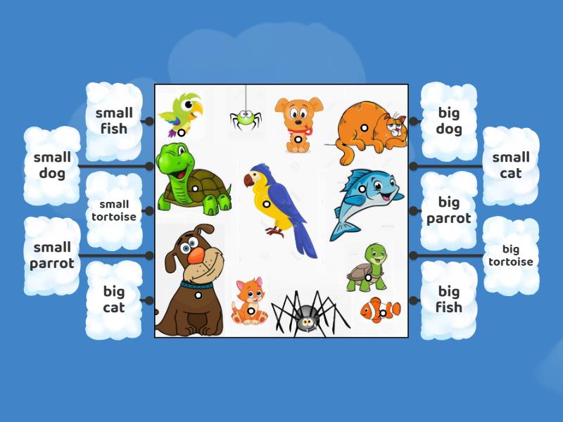 big/small pets - Labelled diagram