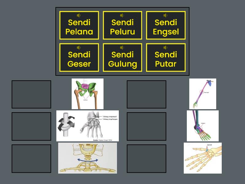 Sendi Manusia - Match up