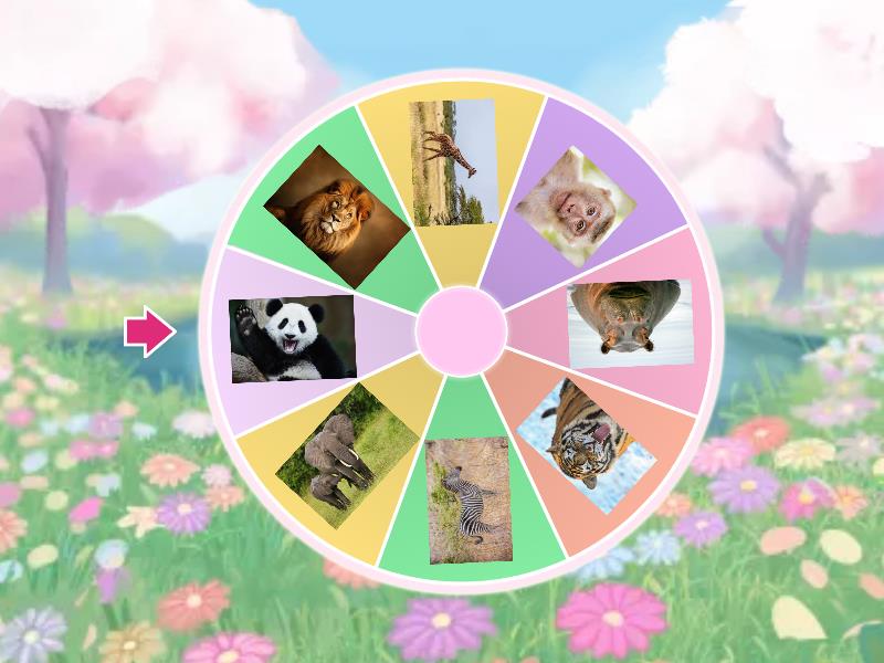 Spinning wheel - zoo animals (part 1) - MEIE - Spin the wheel