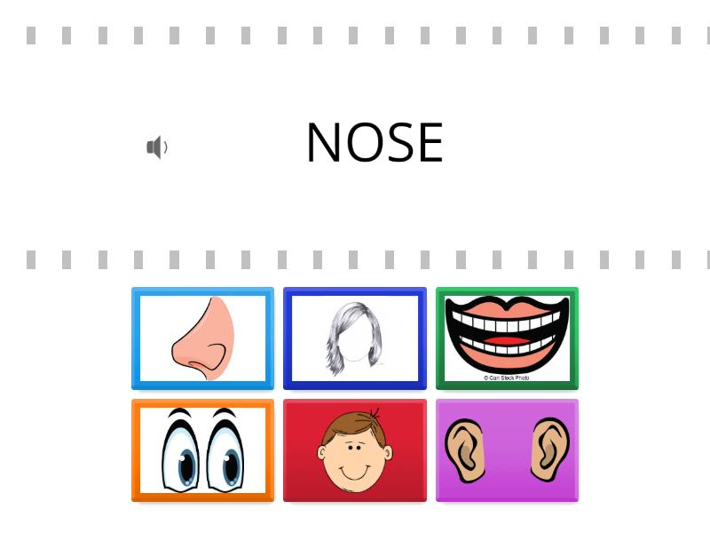 my body - face - Find the match