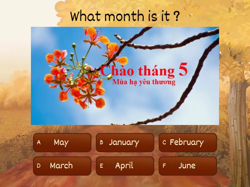 Months - Quiz