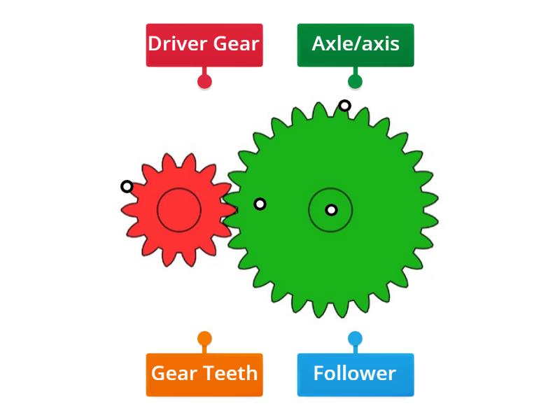 Label the Gears Year 5 - Diagrama con etiquetas