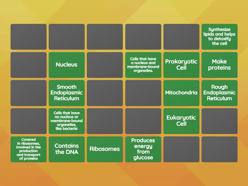 Cells - Matching pairs