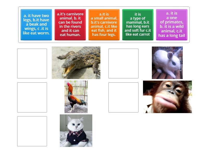 Teks Descriptive - Match up