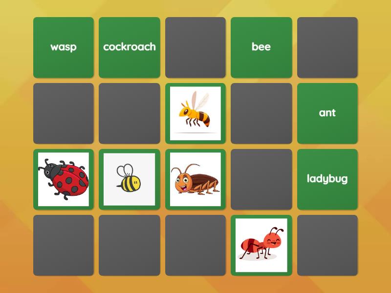 Insects! - Matching pairs