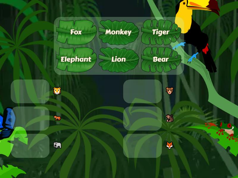 Animal - Match up