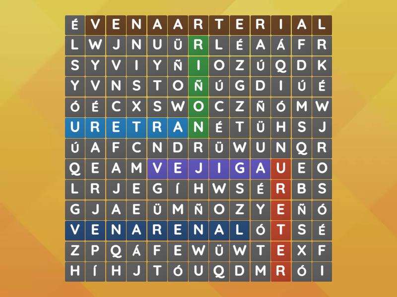 Sistema Urinario - Sopa de letras