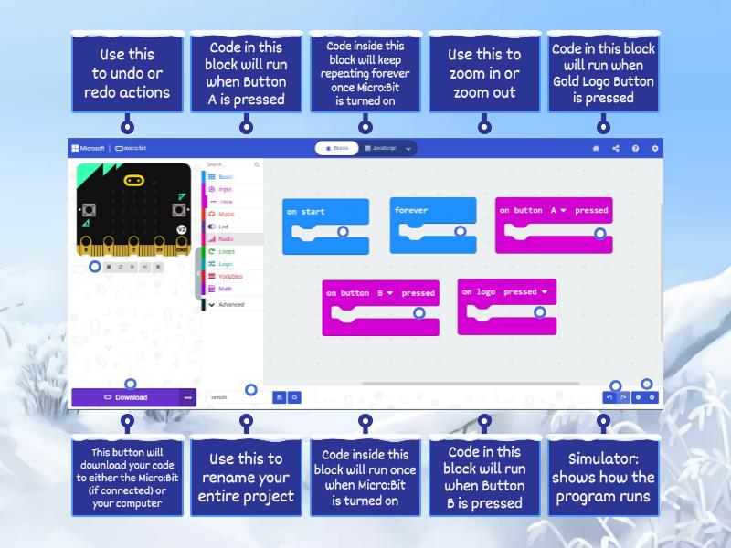 Micro:Bit Activity 1 - Labelled diagram