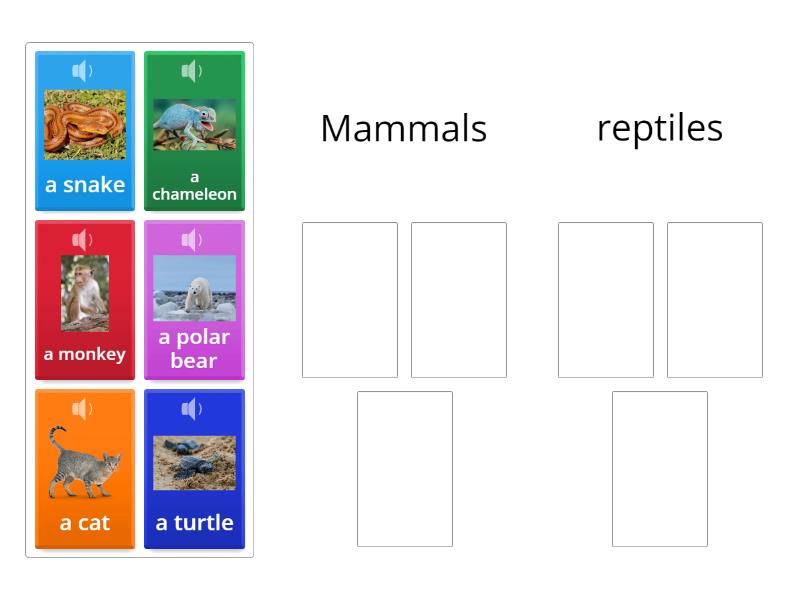 Mammals and reptiles Grade 3 - Group sort