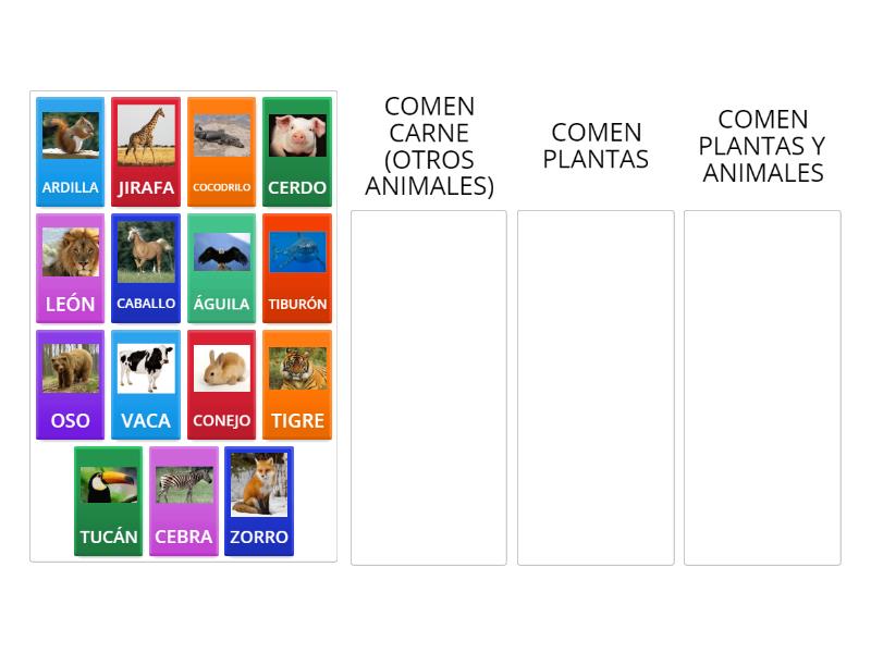 ¿QUÉ COMEN LOS ANIMALES? - Ordenar por grupo