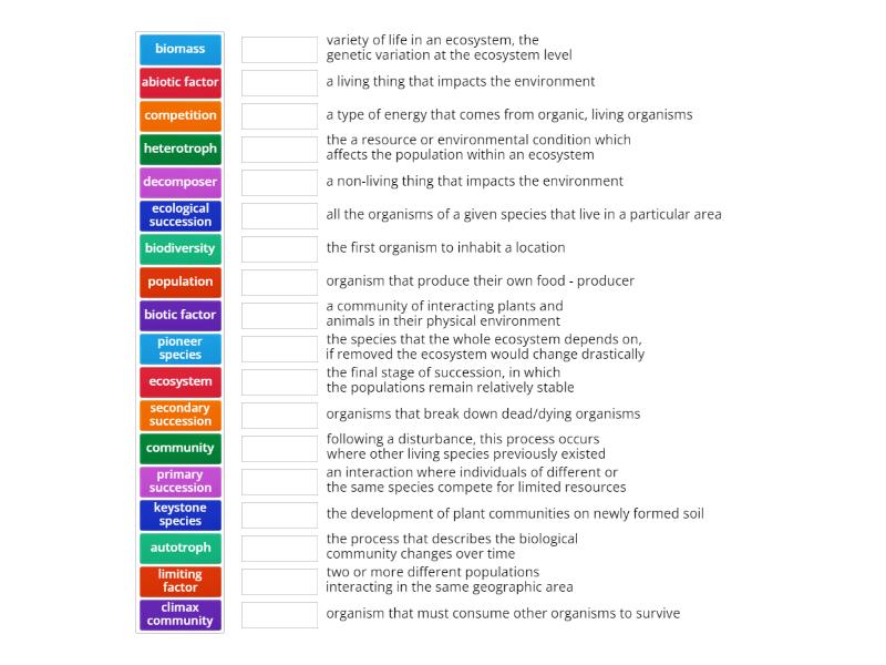 Ecology Vocabulary - Match up
