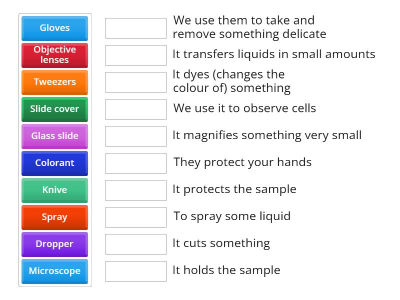 LAB TOOLS (definitions) - Match up