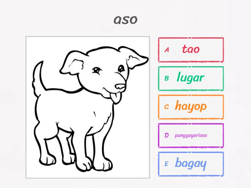 Tukuyin kung anong pangngalan ang inilalarawan. - Quiz