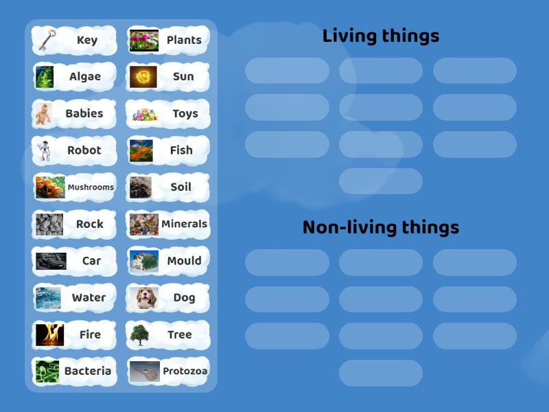 Living and non-living things. - Ordenar por grupo