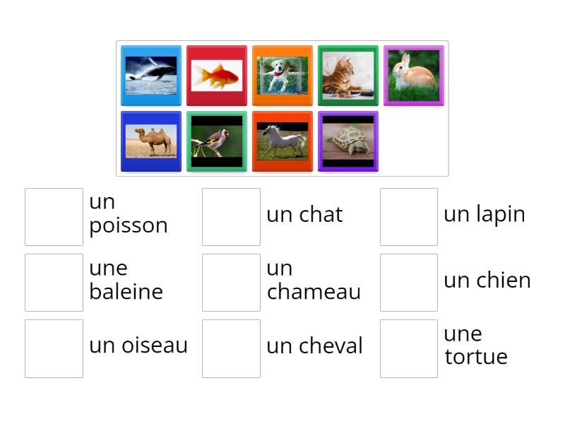 Les animaux - Match up