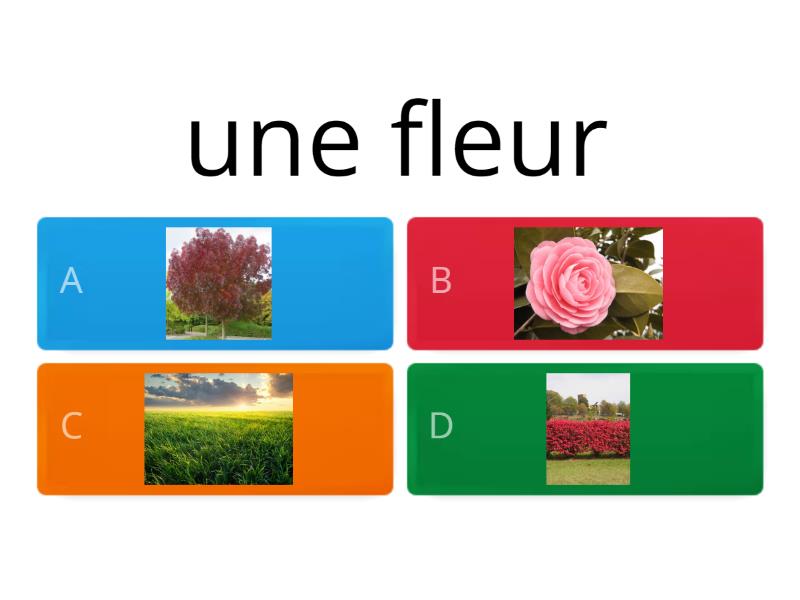 C'est le printemps!!! - Quiz