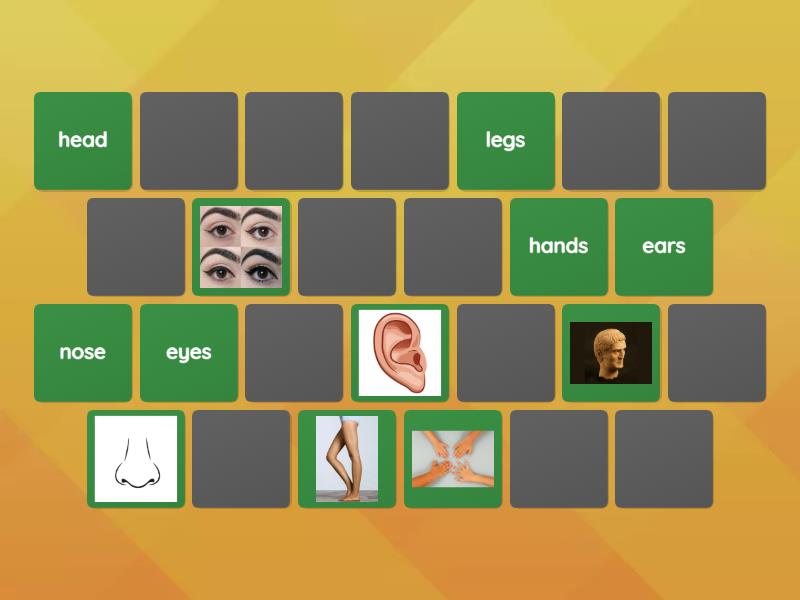 Memory game "Body parts" - Matching pairs