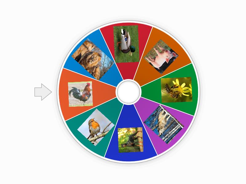 sonidos animales - Random wheel
