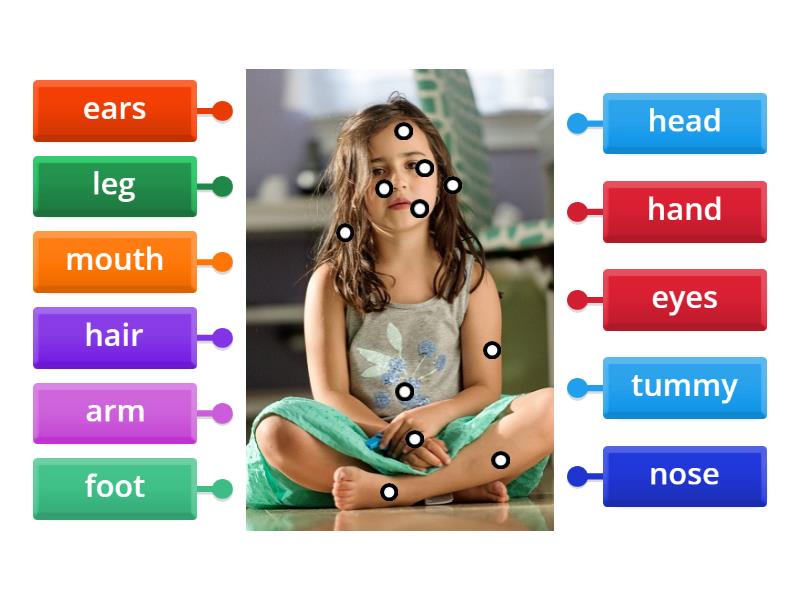 Body parts - Labelled diagram