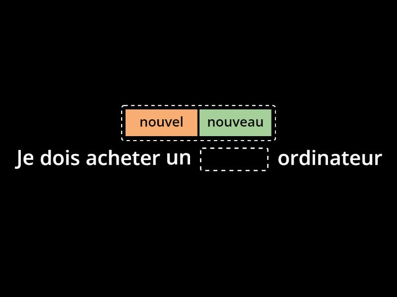 Nouveau nouvel beau bel vieux vieil FLE - Complete the sentence