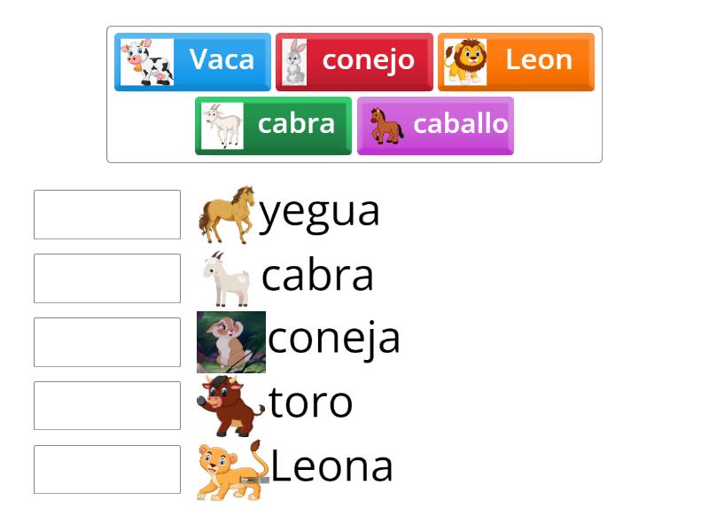 Los animales - Match up