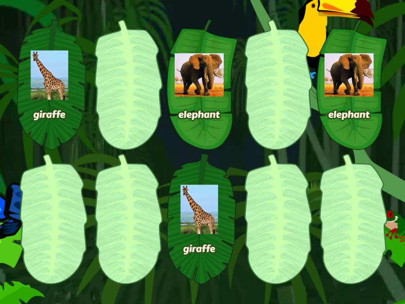 Memory Washing Line animals - Matching pairs