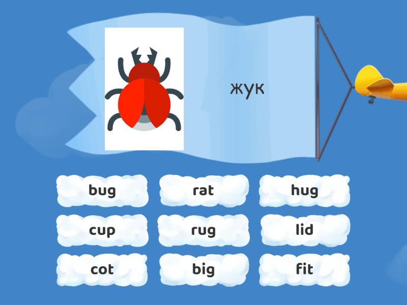 Bob Bug Wordlist - Find the match
