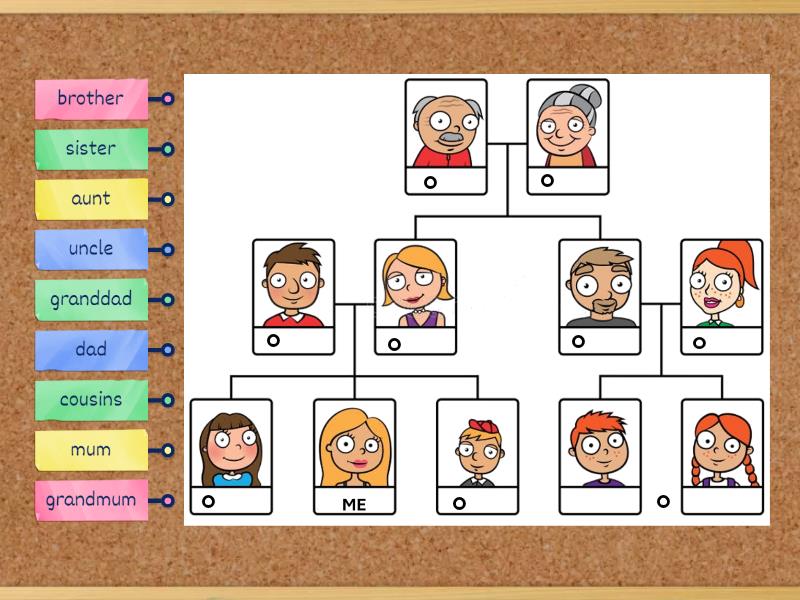 4A Family diagram 1 - Labelled diagram
