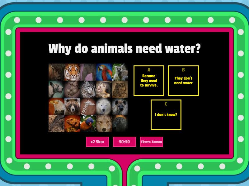 Water - Gameshow quiz