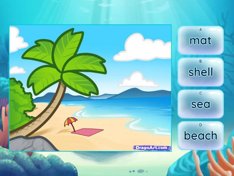 BEACH vocabulary - Quiz