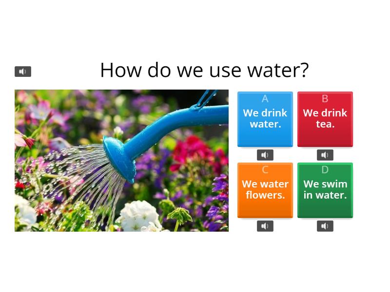 How do we use water? - Quiz