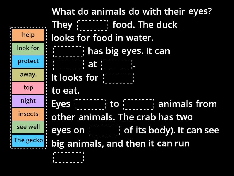 Reading - Discover - Level 1- Animal eyes - Complete the sentence