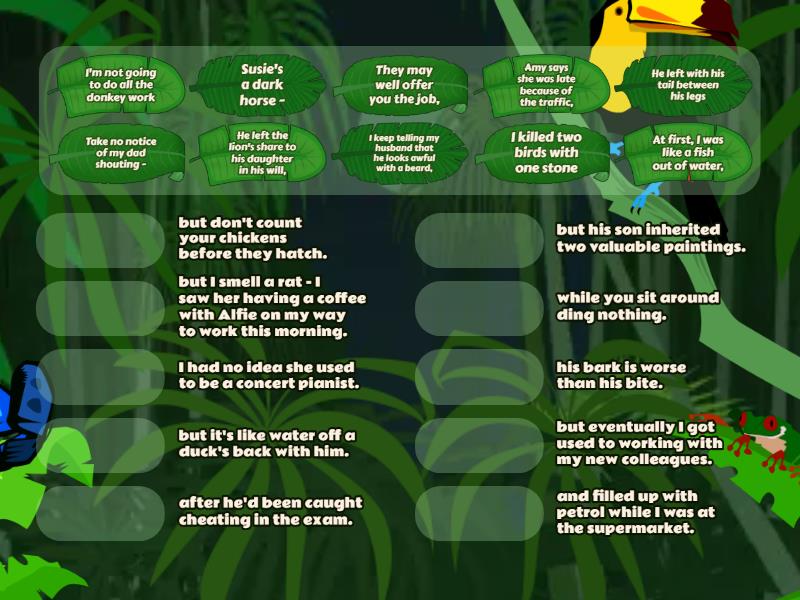 9A Animals idioms (English File Advanced) - Match up