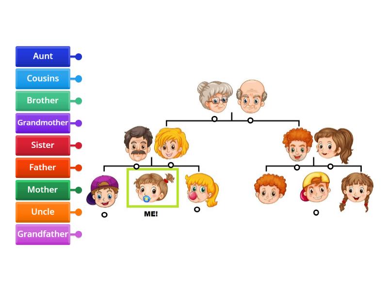 FAMILY MEMBERS - Labelled diagram