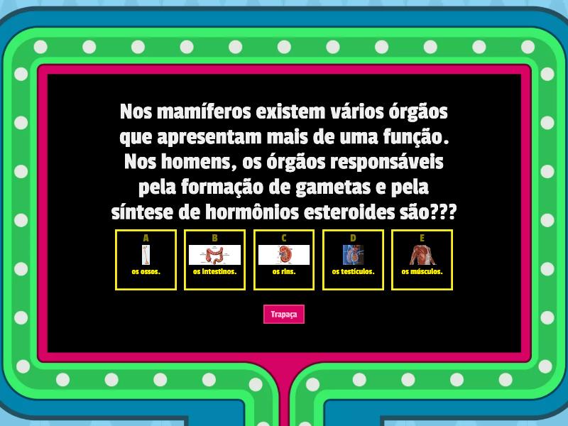 Exemplo - Gameshow quiz