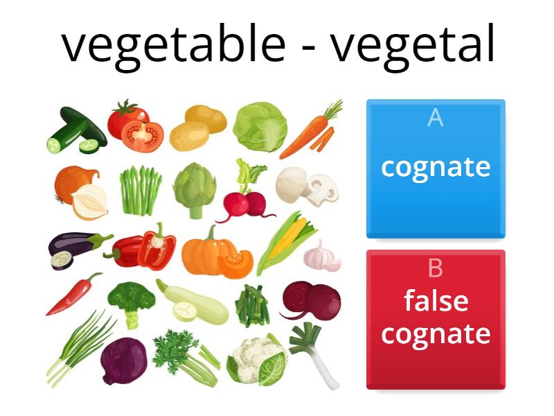 Cognates and false cognates - Cuestionario
