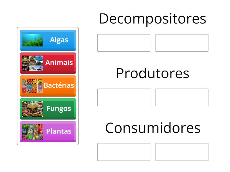 Cadeia Alimentar - Group sort