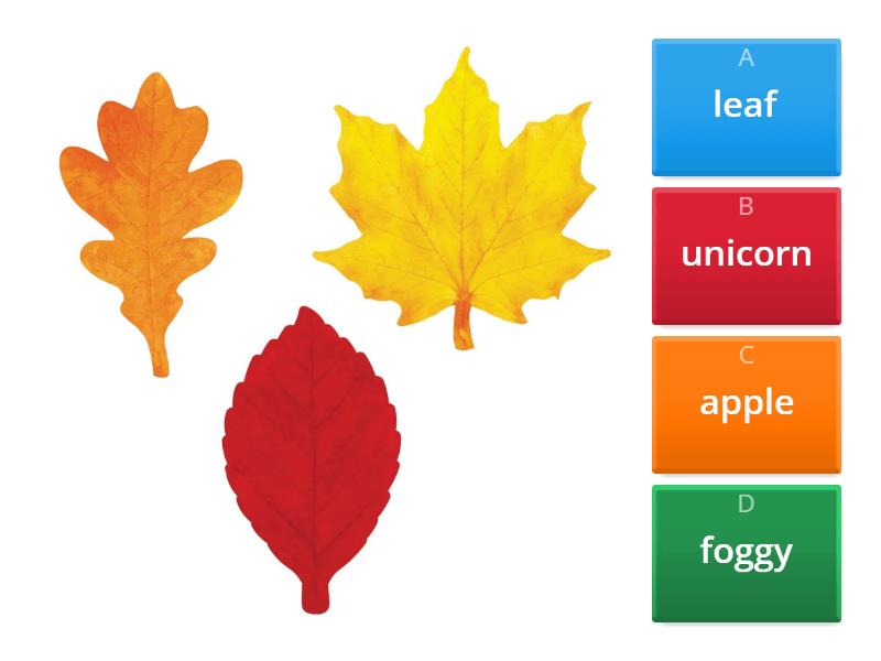 leaf - Quiz