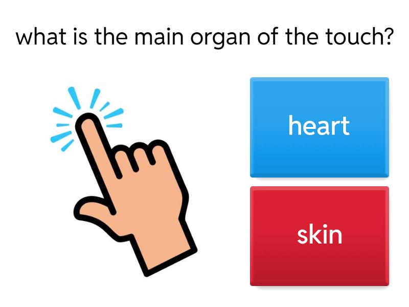 TOUCH - Quiz
