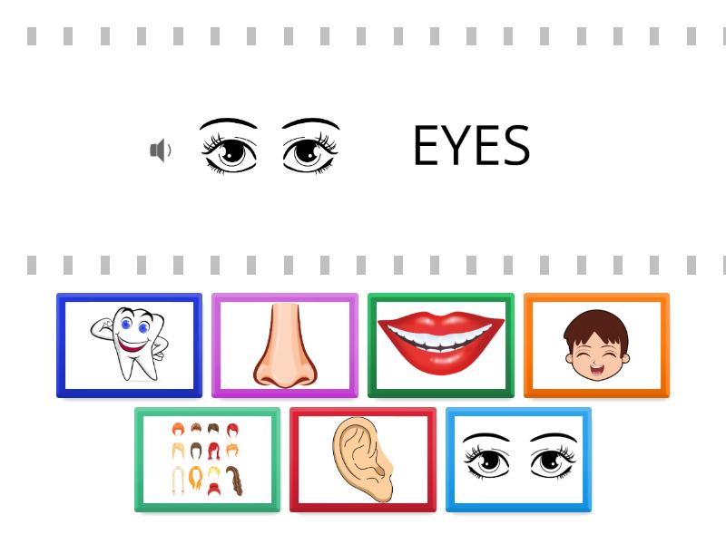 PARTS OF THE FACE QUIZ - MATERNAL - Find the match