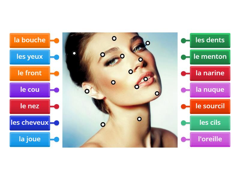 Emmanuelle : Le visage - Labelled diagram