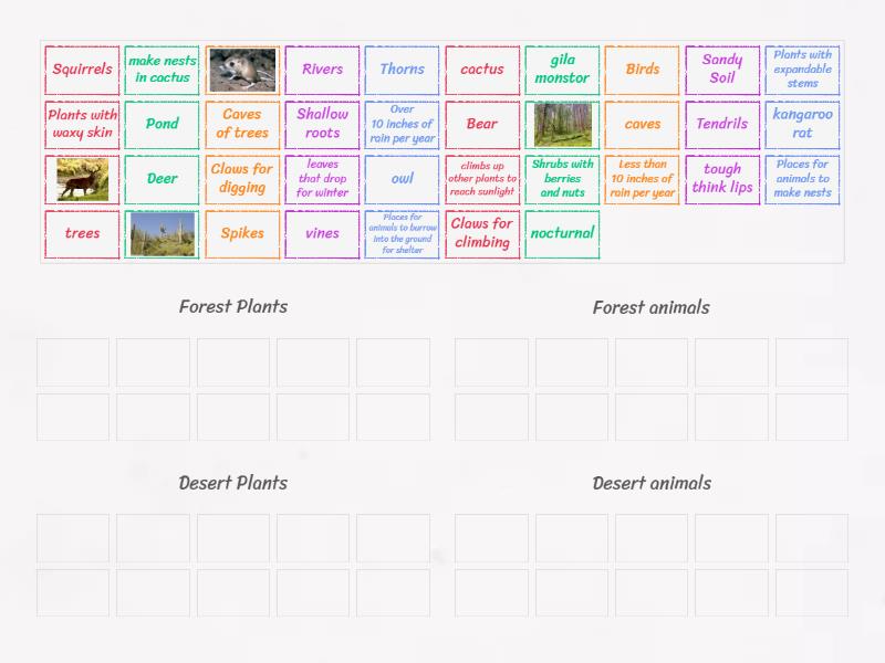 Forest Desert Sort - Group sort