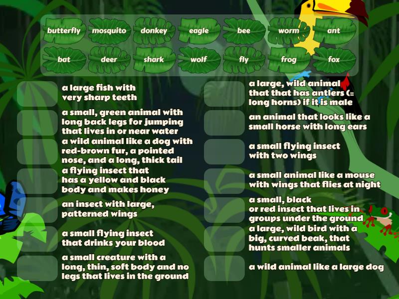 Prepare B1 level 4 - Unit 12 Animals - Match up