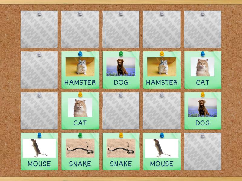 PETS - Matching pairs